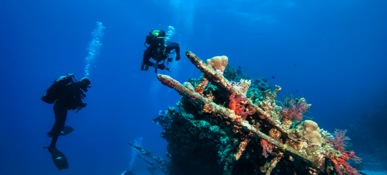 Jeddah Diving Centre - Explore PADI Scuba & Freediving Courses