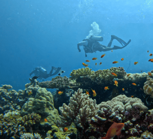 Durrat Al Arous - 17sixty